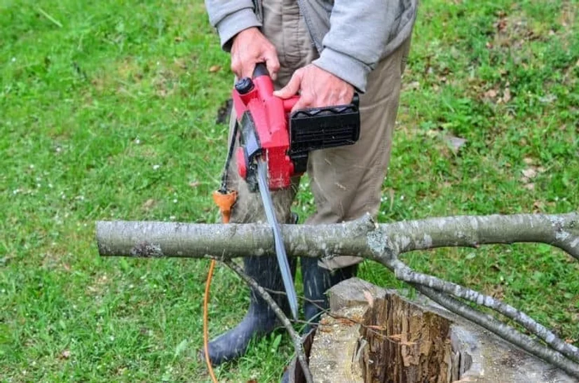 ALDI Ferrex 1100W 2 in 1 Chainsaw with Telescopic Pole reviews ProductReview