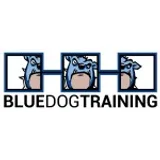 Blue Dog Training Questions | ProductReview.com.au
