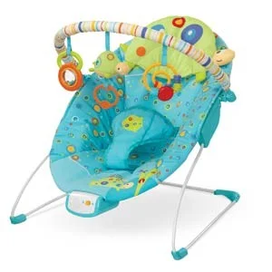 Bright Starts Teensy Turtle Cradling Bouncer reviews | ProductReview.com.au