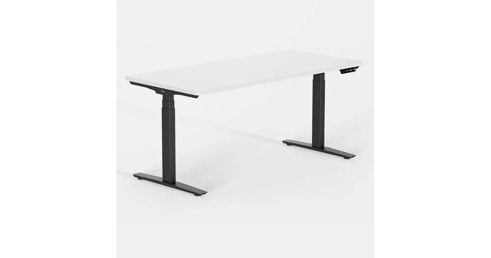 9am Home Pesk Dual Motors Smart Electric Standing Desk reviews ...