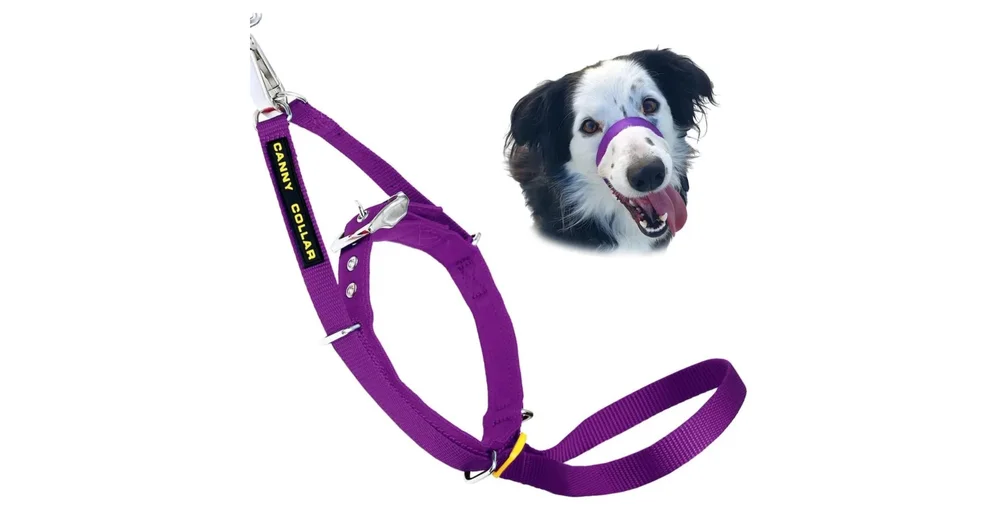 The Canny Company Canny Collar reviews | ProductReview.com.au