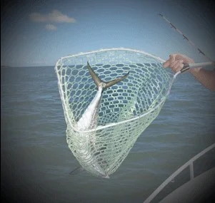Fastnet - Rubber Landing Net reviews | ProductReview.com.au