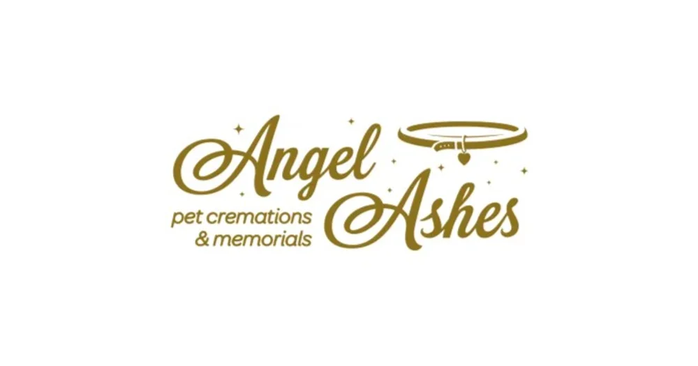 Angel Ashes reviews | ProductReview.com.au