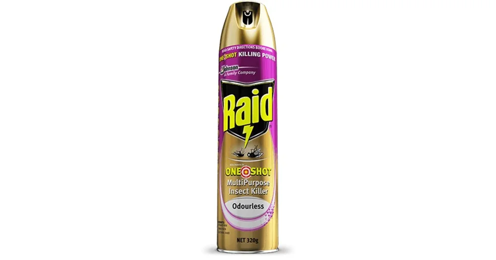 Raid One Shot Multipurpose Insect Killer Odourless reviews ...
