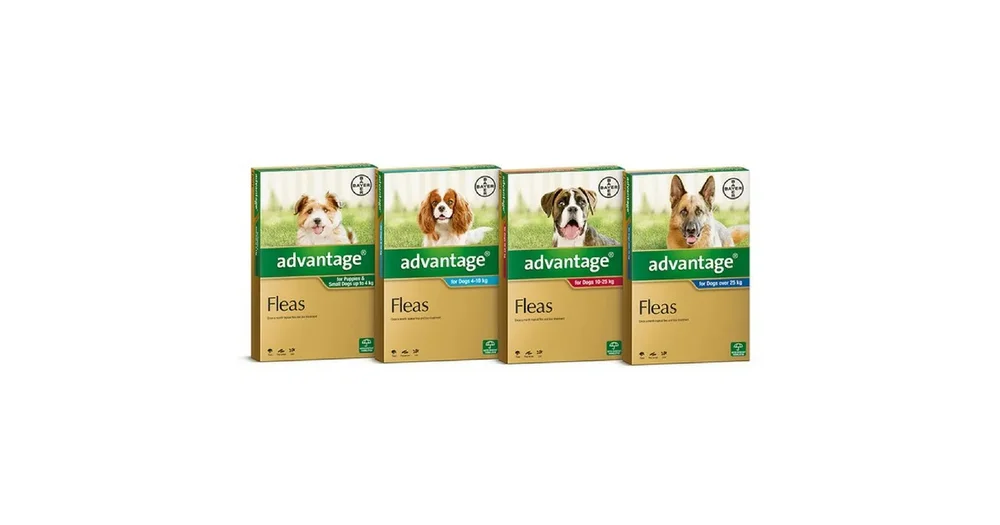 Advantage for Dogs reviews | ProductReview.com.au