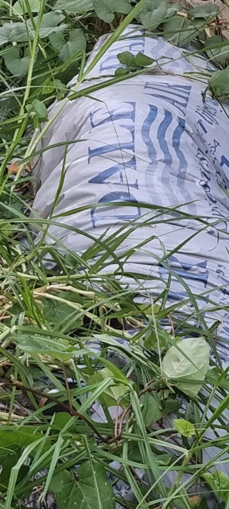 Plumbing Detectives reviews | ProductReview.com.au