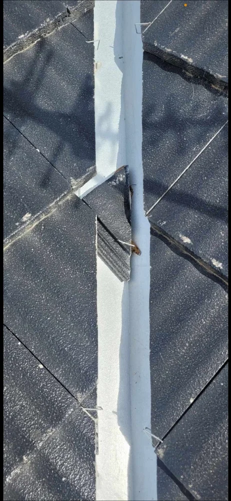 Royston Homes reviews | ProductReview.com.au