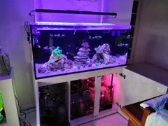 Aqua One reviews | ProductReview.com.au