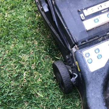 Masport Bunnings 470 2'n1 reviews | ProductReview.com.au