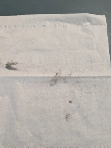 MoonPod reviews | ProductReview.com.au