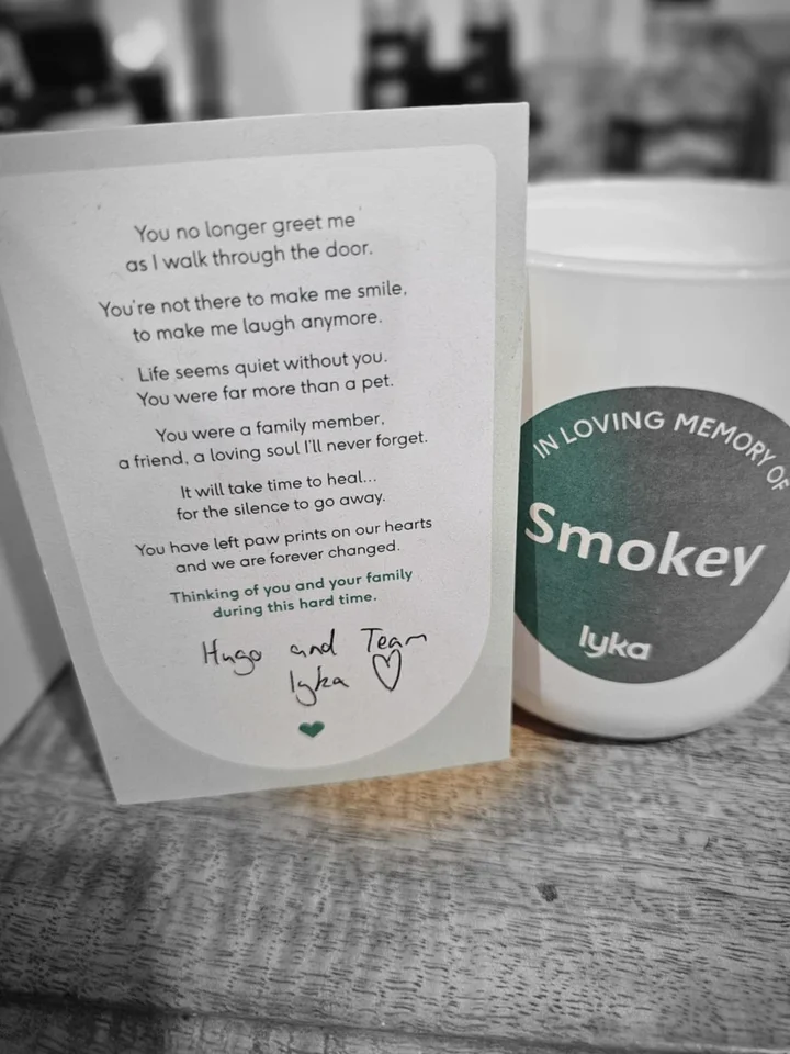 Lyka Pet Food reviews | ProductReview.com.au