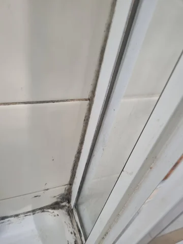 Glassguard Miracle Mould Removal Gel reviews | ProductReview.com.au