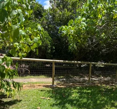 Northside Fencing reviews | ProductReview.com.au