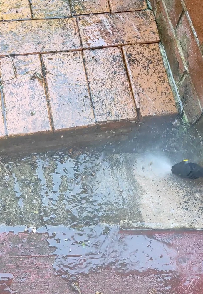 ALDI Workzone / Ferrex High Pressure Washer 2000W (Sep 2019, Apr 2020 ...