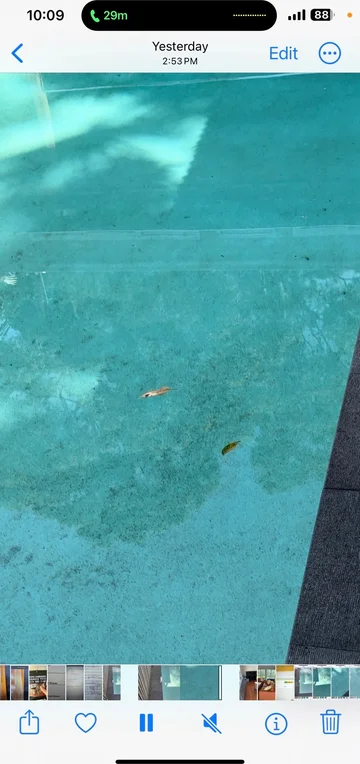 Stayz reviews | ProductReview.com.au