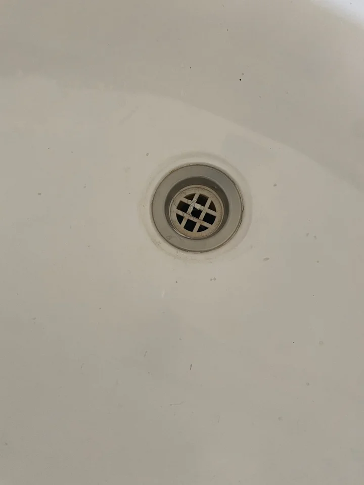 Absolute Domestics QLD, Brisbane reviews | ProductReview.com.au