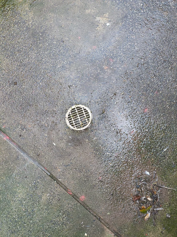 Service Today reviews | ProductReview.com.au