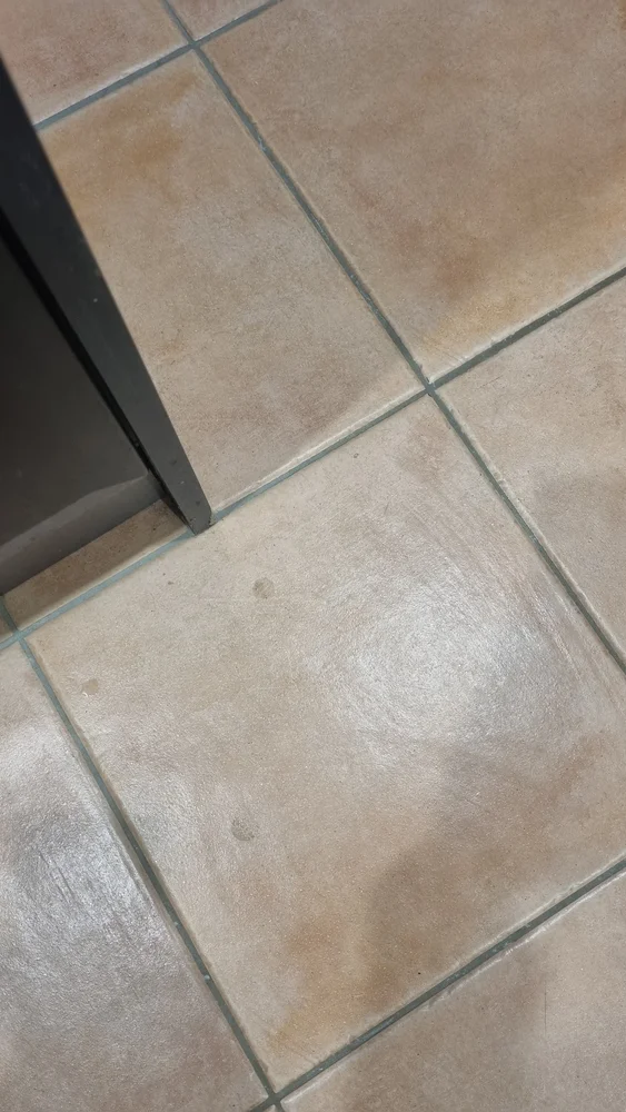 Absolute Domestics WA, Perth reviews | ProductReview.com.au