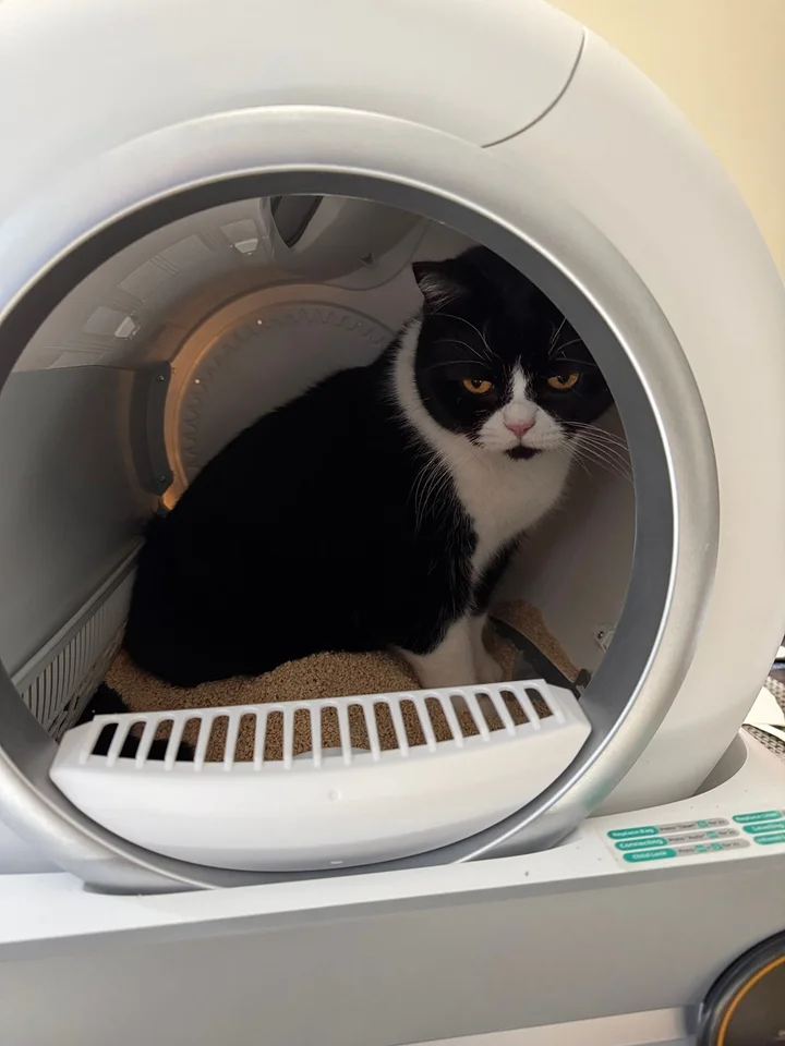Purr-Pod Smart Litter Box reviews | ProductReview.com.au
