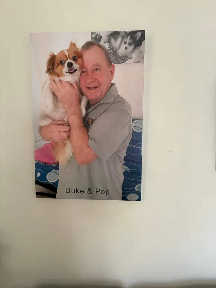 Canvas Factory reviews | ProductReview.com.au