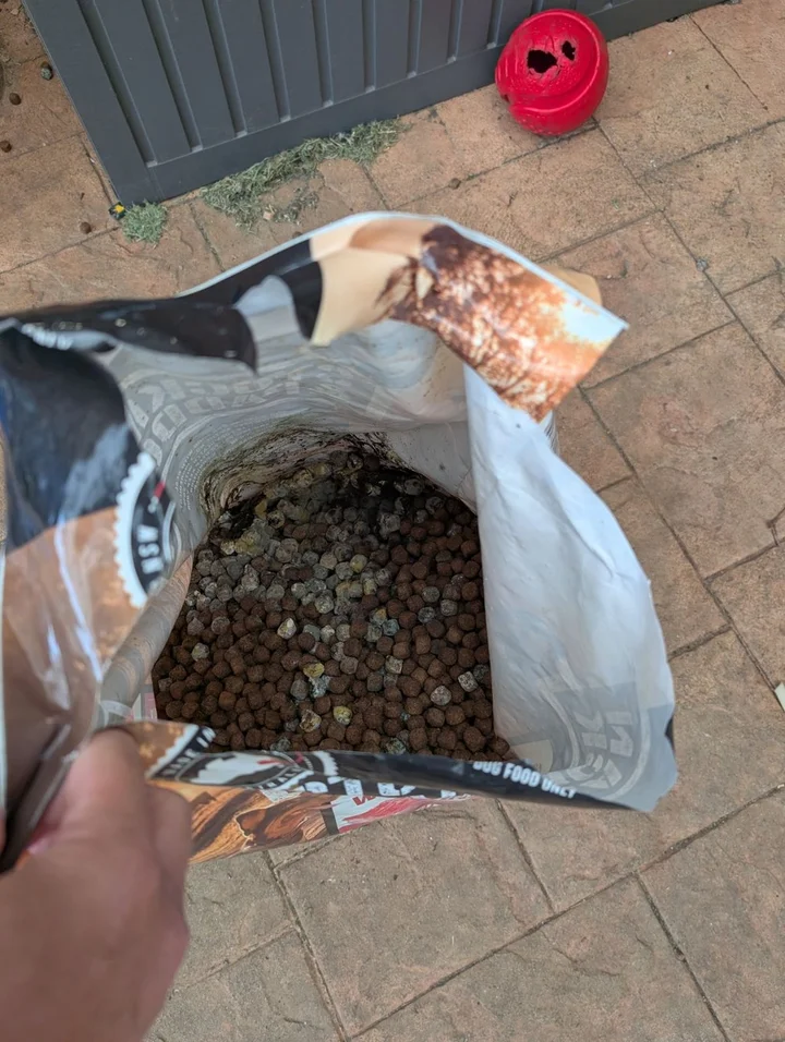 Stockman & Paddock Dog Food reviews | ProductReview.com.au