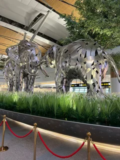 1Cover Travel Insurance reviews | ProductReview.com.au