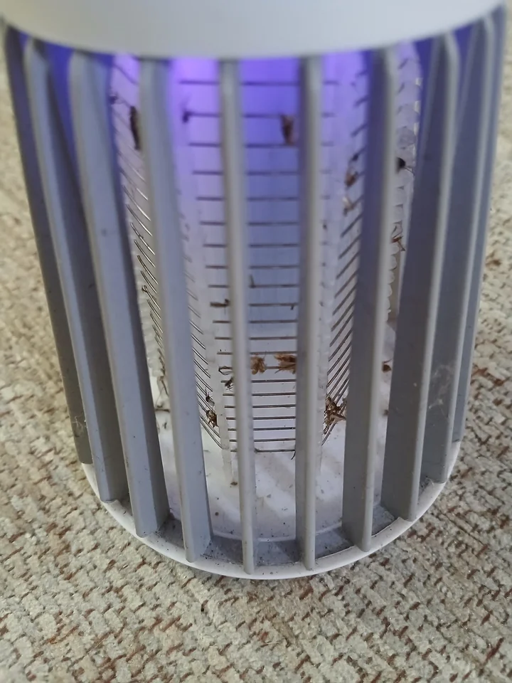 Ozzi Mozzie reviews | ProductReview.com.au