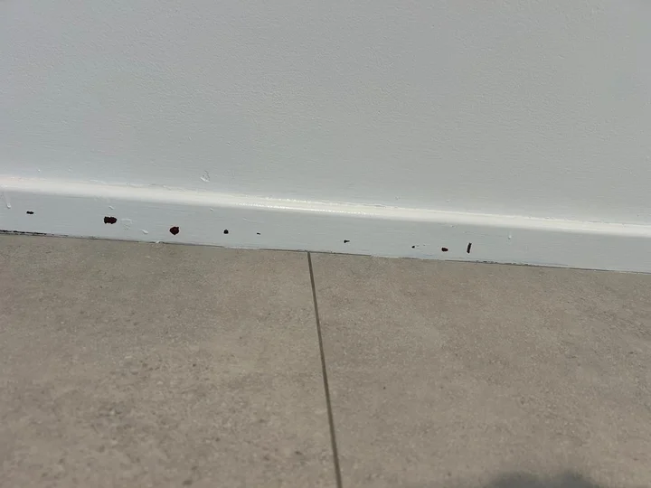 Optima Cleaners reviews | ProductReview.com.au