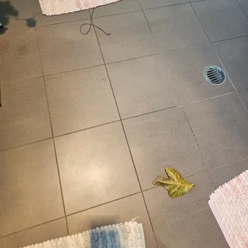 Absolute Domestics reviews | ProductReview.com.au