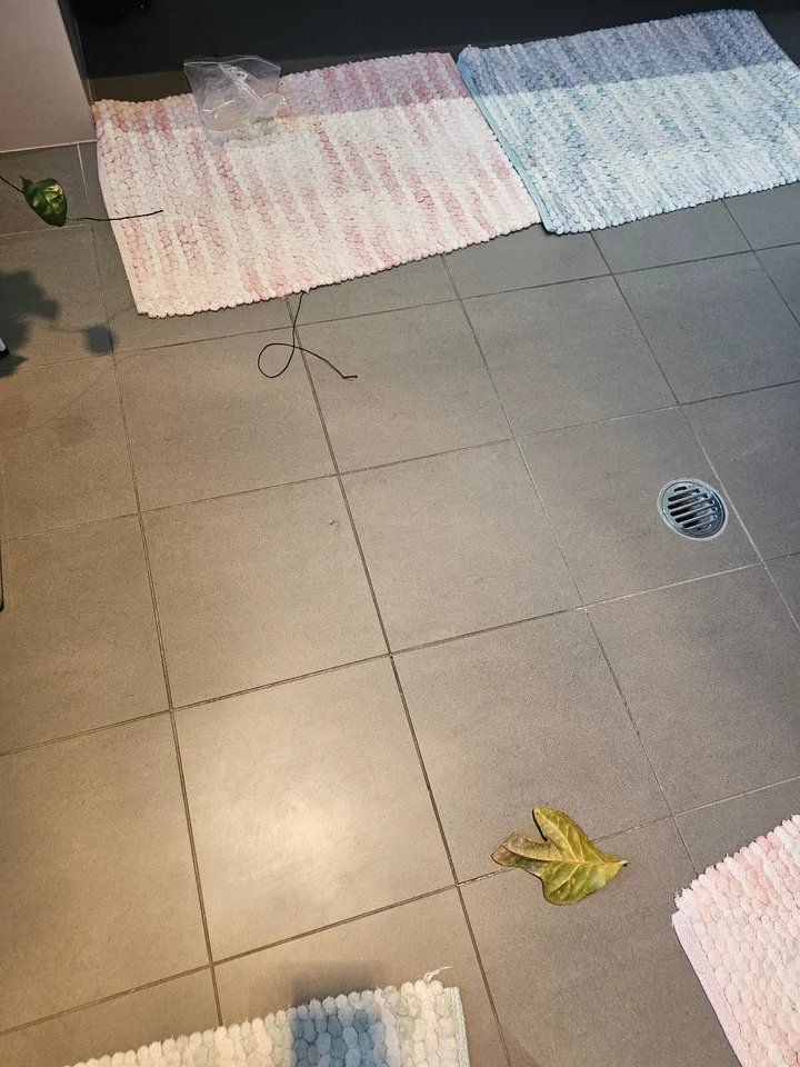 Absolute Domestics QLD, Brisbane reviews | ProductReview.com.au