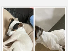 Hanrob reviews | ProductReview.com.au