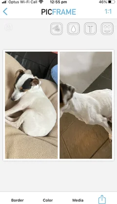 Hanrob reviews | ProductReview.com.au