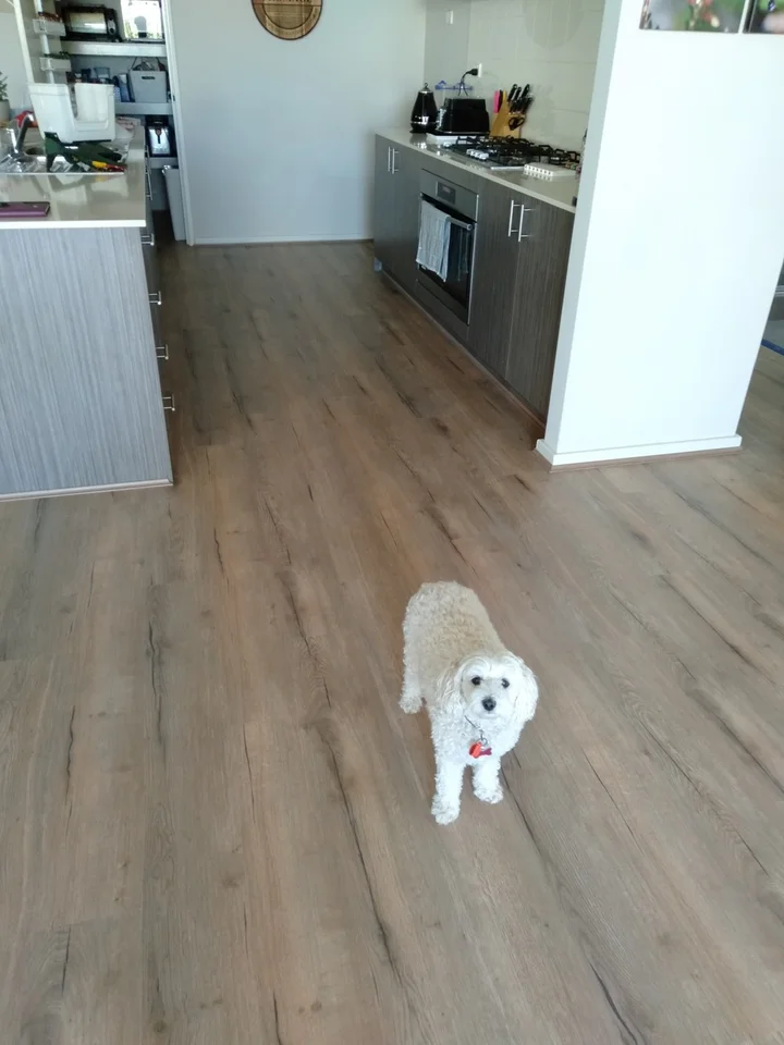 Harvey Norman Hybrid Flooring reviews | ProductReview.com.au