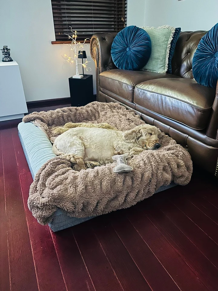 Barney Bed reviews | ProductReview.com.au