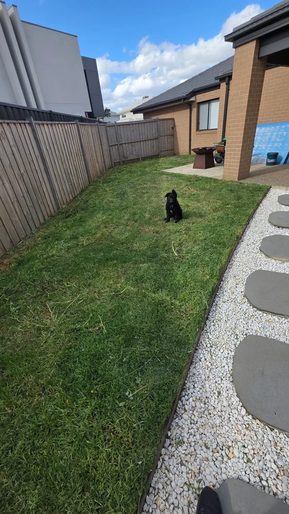 Jim's Mowing reviews | ProductReview.com.au