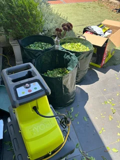 Ryobi Crushing Shredder RSH2445S reviews | ProductReview.com.au