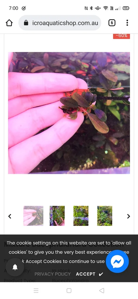 Micro Aquatic Shop reviews | ProductReview.com.au