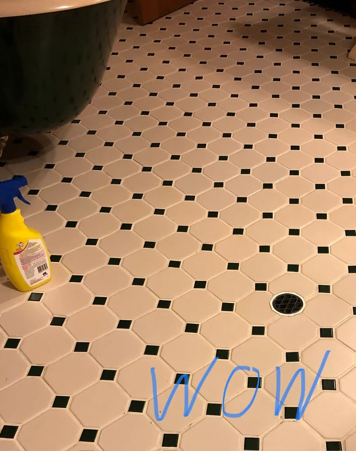 Long Life Grout Cleaner reviews | ProductReview.com.au