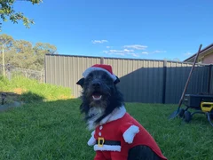 The Vet Shed reviews | ProductReview.com.au