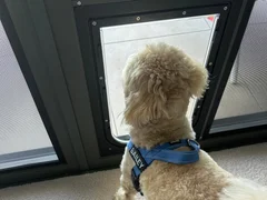 Wynstan reviews | ProductReview.com.au