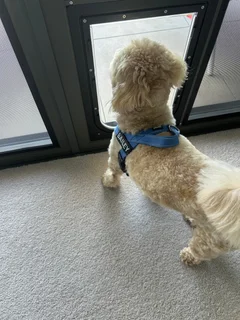 Wynstan reviews | ProductReview.com.au