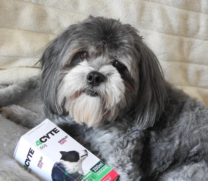 The Vet Shed Online store reviews | ProductReview.com.au