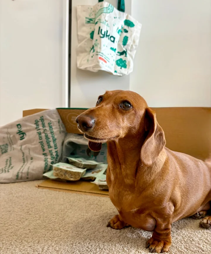 Lyka Pet Food reviews | ProductReview.com.au