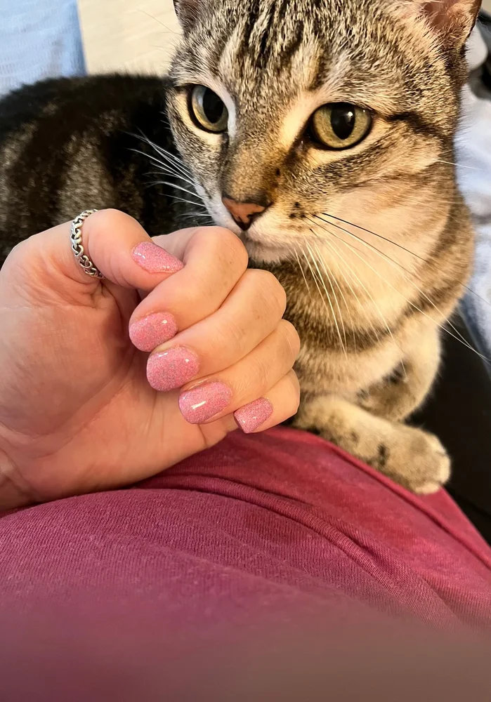 Glamrdip reviews | ProductReview.com.au