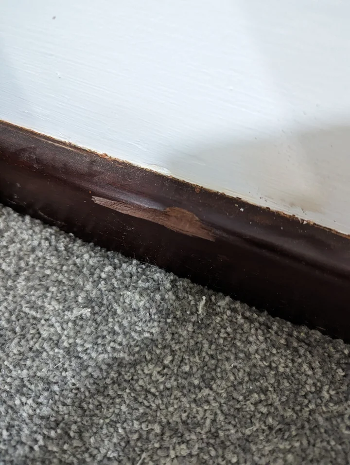 Harvey Norman Carpet Flooring reviews | ProductReview.com.au