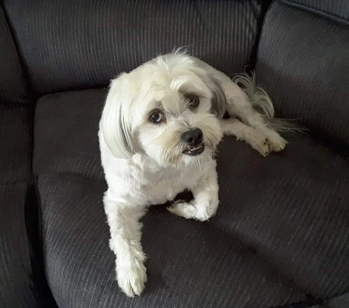 Mighty Munch reviews | ProductReview.com.au