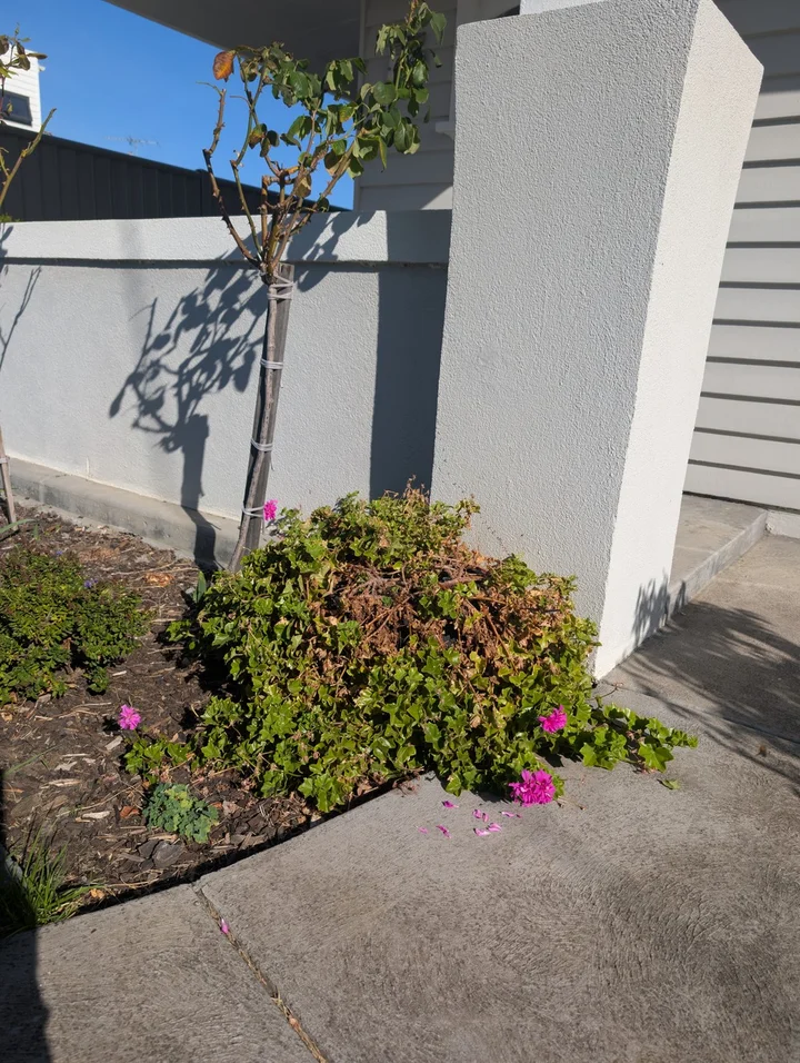 Parcel Freight Logistics (PFL) reviews | ProductReview.com.au