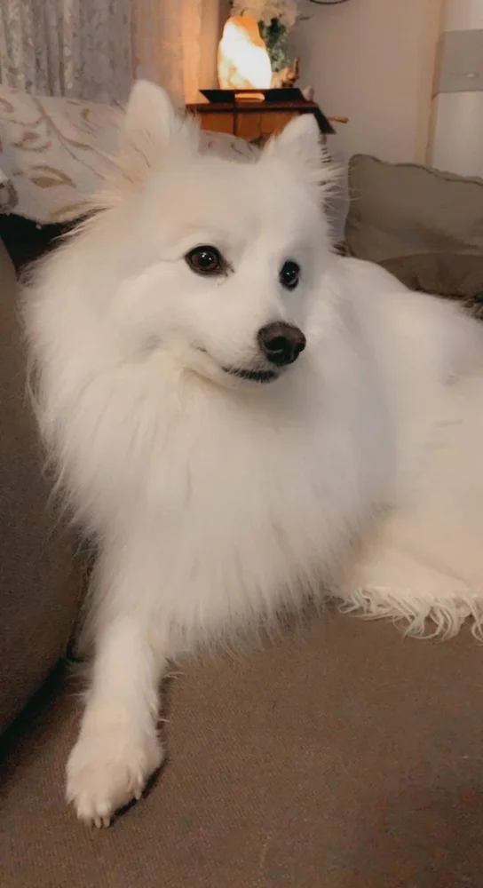 Mighty Munch reviews | ProductReview.com.au