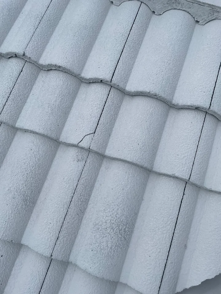 Revive A Roof reviews | ProductReview.com.au