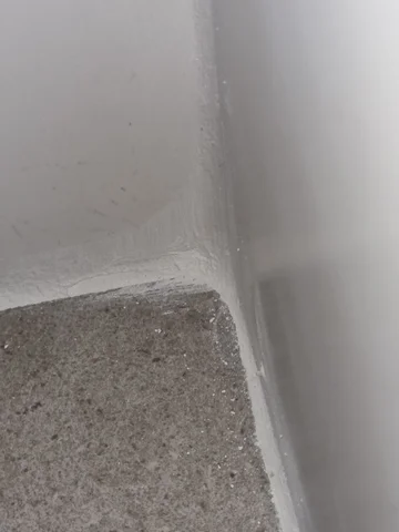 The Grout Guy reviews | ProductReview.com.au